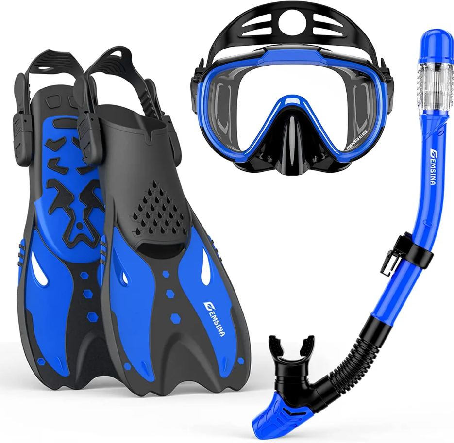 How to snorkel in South Florida - OceanParadise, South Florida news ...